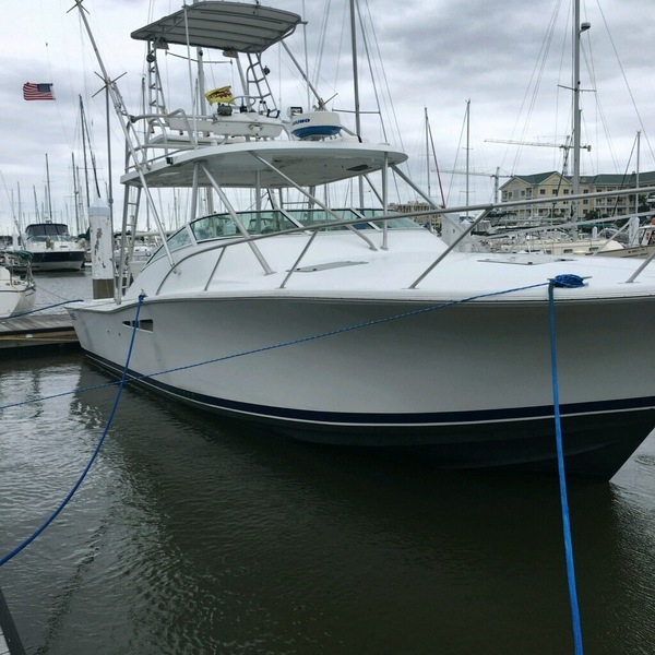 Luhrs - 36 Open
