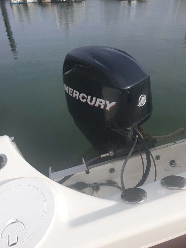 Warrior - 165 For Sale in Middlesbrough | CTC MARINE & LEISURE